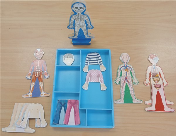 Magnetic Body Play Set